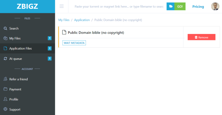 Zbigz Review: A Free Online Torrent Client – techy.zone